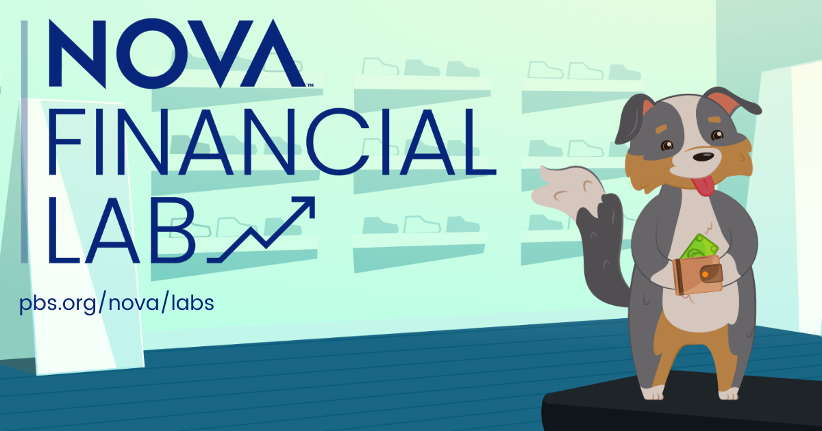 NOVA Financial Lab Decision-Making Game - ICMM